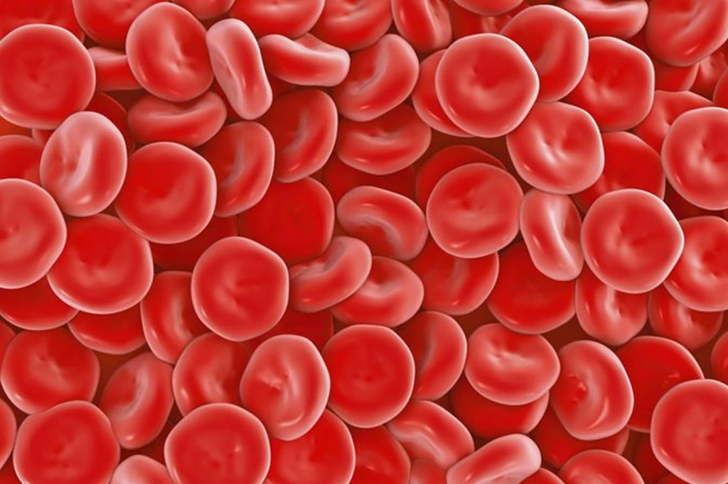 RBC Count (Red Blood Cell count) - Kantipur Path lab Pvt. Ltd